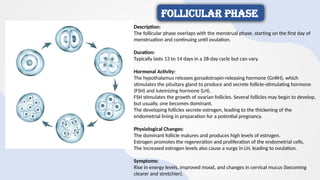 Menstrual Cycle Phases | Sehgal Nursing Home | PPT