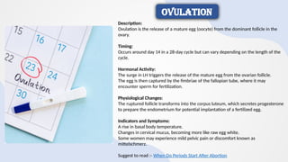 Menstrual Cycle Phases | Sehgal Nursing Home | PPT