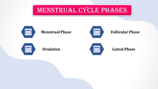 Menstrual Cycle Phases | Sehgal Nursing Home | PDF