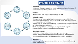 Menstrual Cycle Phases | Sehgal Nursing Home | PDF