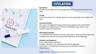 Menstrual Cycle Phases | Sehgal Nursing Home | PDF