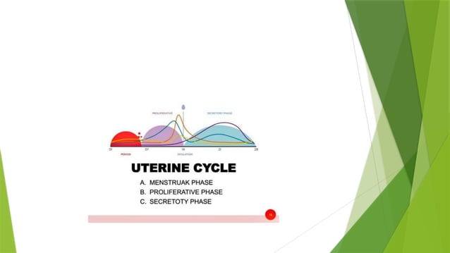 Menstrual Cycle Physiology Pptx