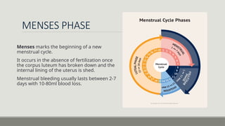 Menstrual Cycle PPT / Ovarian & Uterine Cycle.pptx