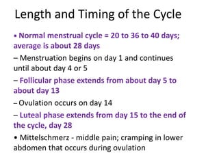 Menstrual cycle ppt nitin | PPTX | Pregnancy | Reproductive Health