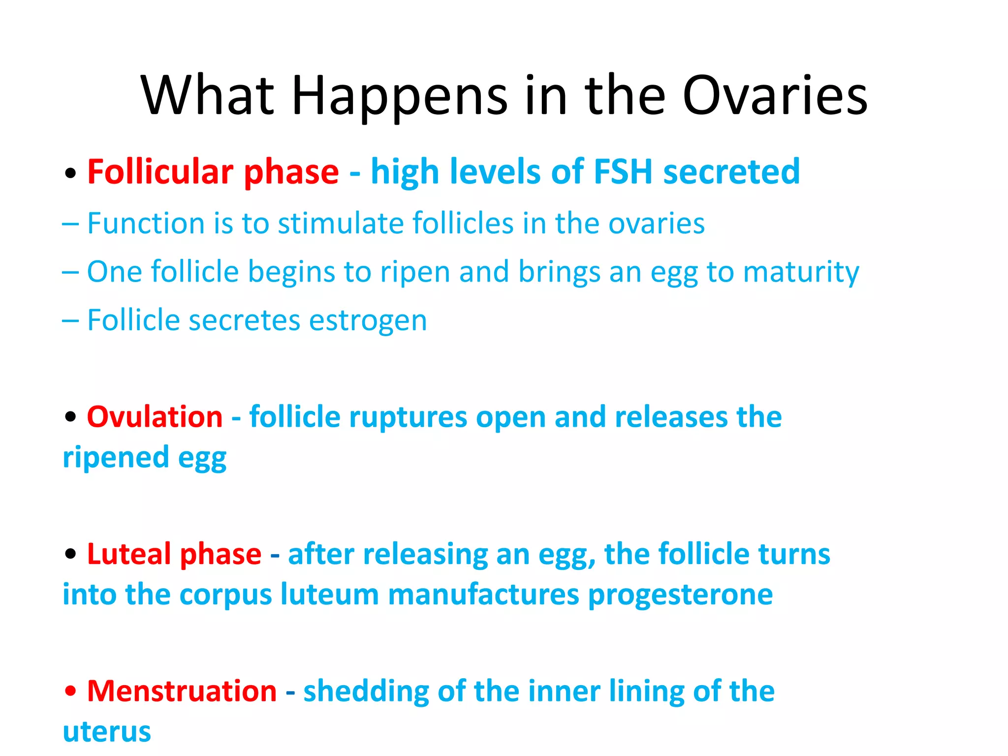 Menstrual cycle ppt nitin | PPTX