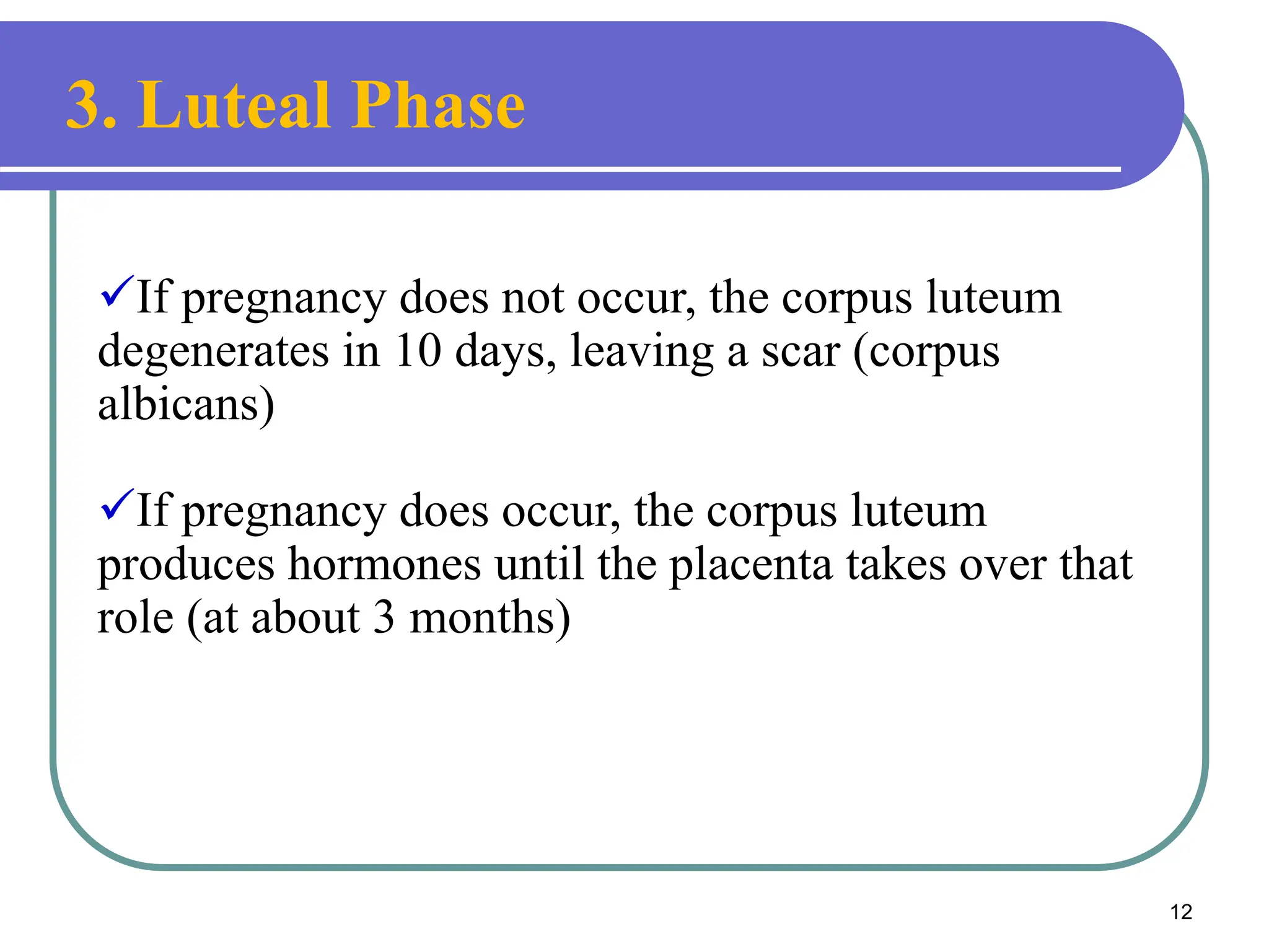 Menstrual Cycle & process of conception.ppt