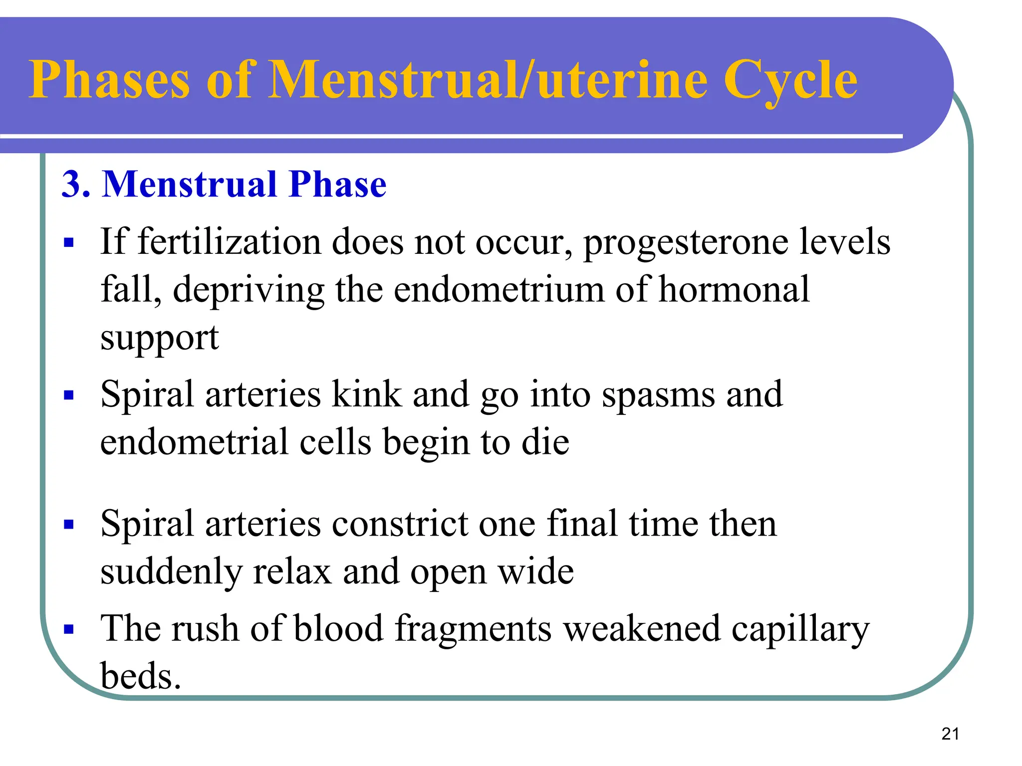 Menstrual Cycle & process of conception.ppt