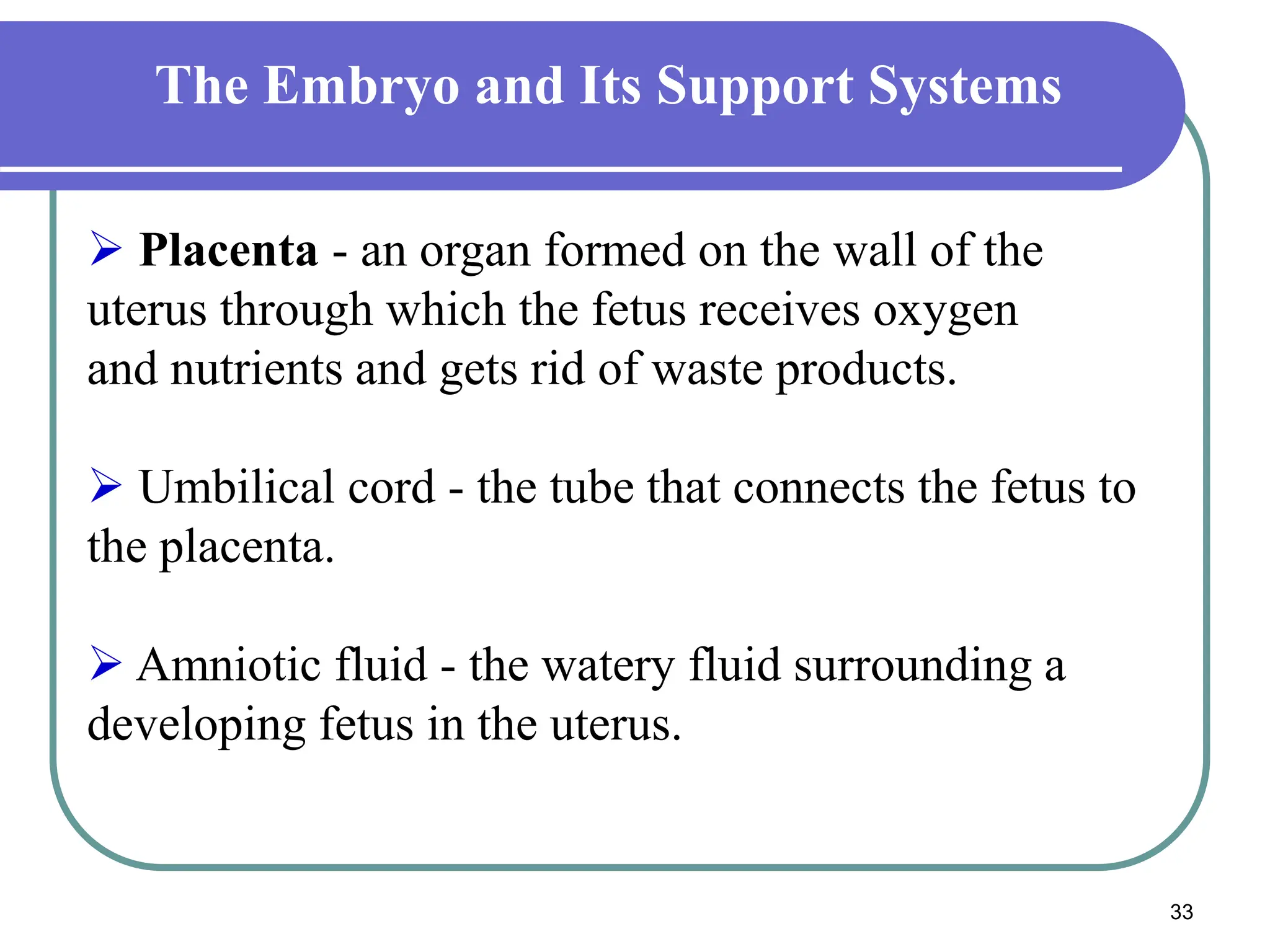 Menstrual Cycle & process of conception.ppt