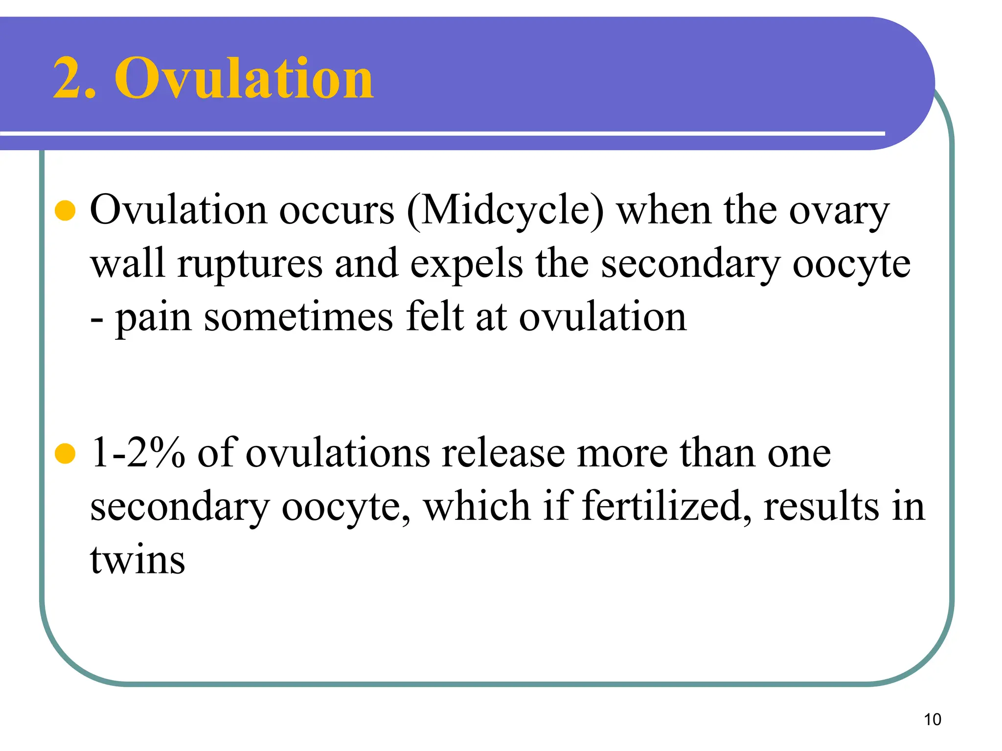 Menstrual Cycle & process of conception.ppt