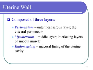 Menstrual Cycle & process of conception.ppt
