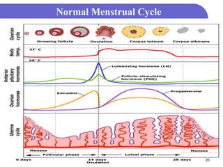 Menstrual Cycle & process of conception.ppt