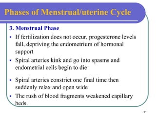 Menstrual Cycle & process of conception.ppt