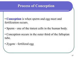 Menstrual Cycle & process of conception.ppt
