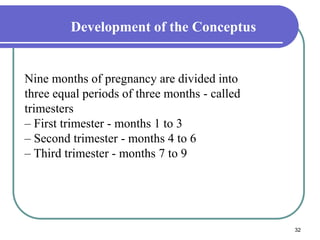 Menstrual Cycle & process of conception.ppt