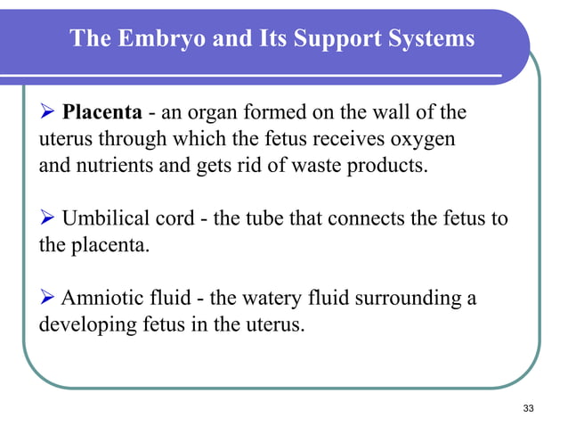 Menstrual Cycle & process of conception.ppt
