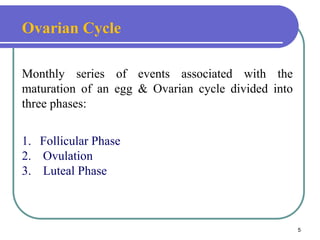 Menstrual Cycle & process of conception.ppt