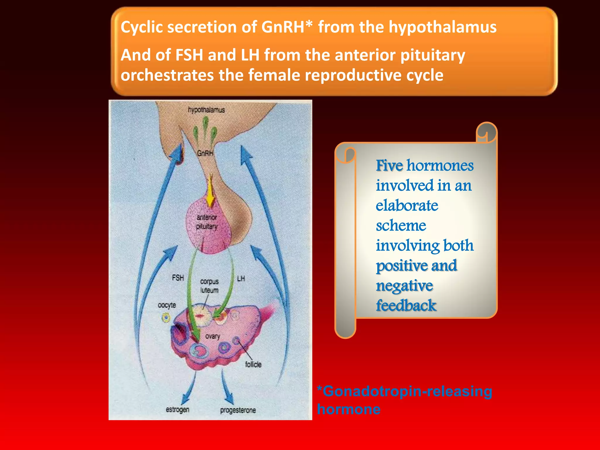 Menstrual cycle regulation | PPTX