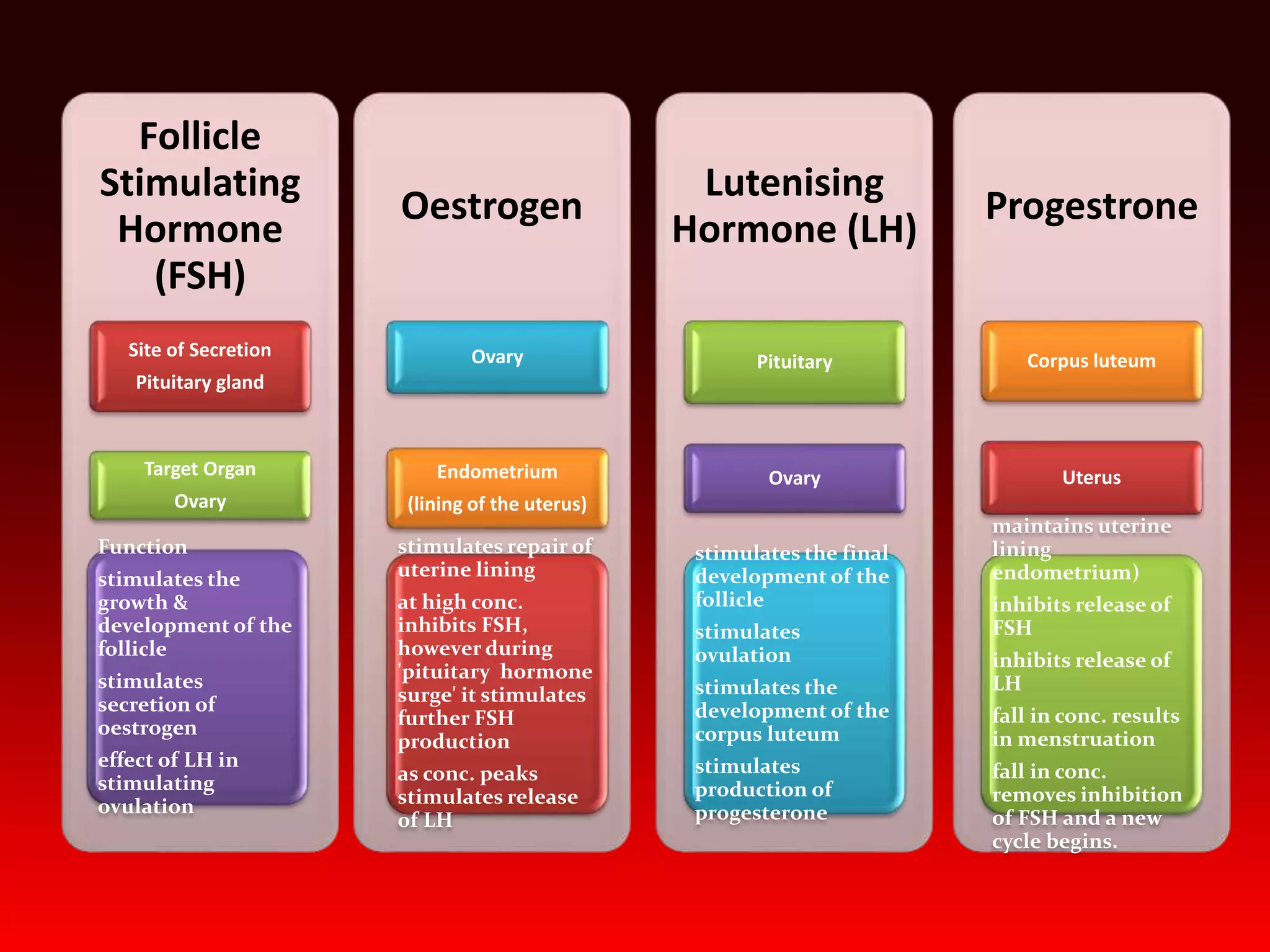 Menstrual cycle regulation | PPTX