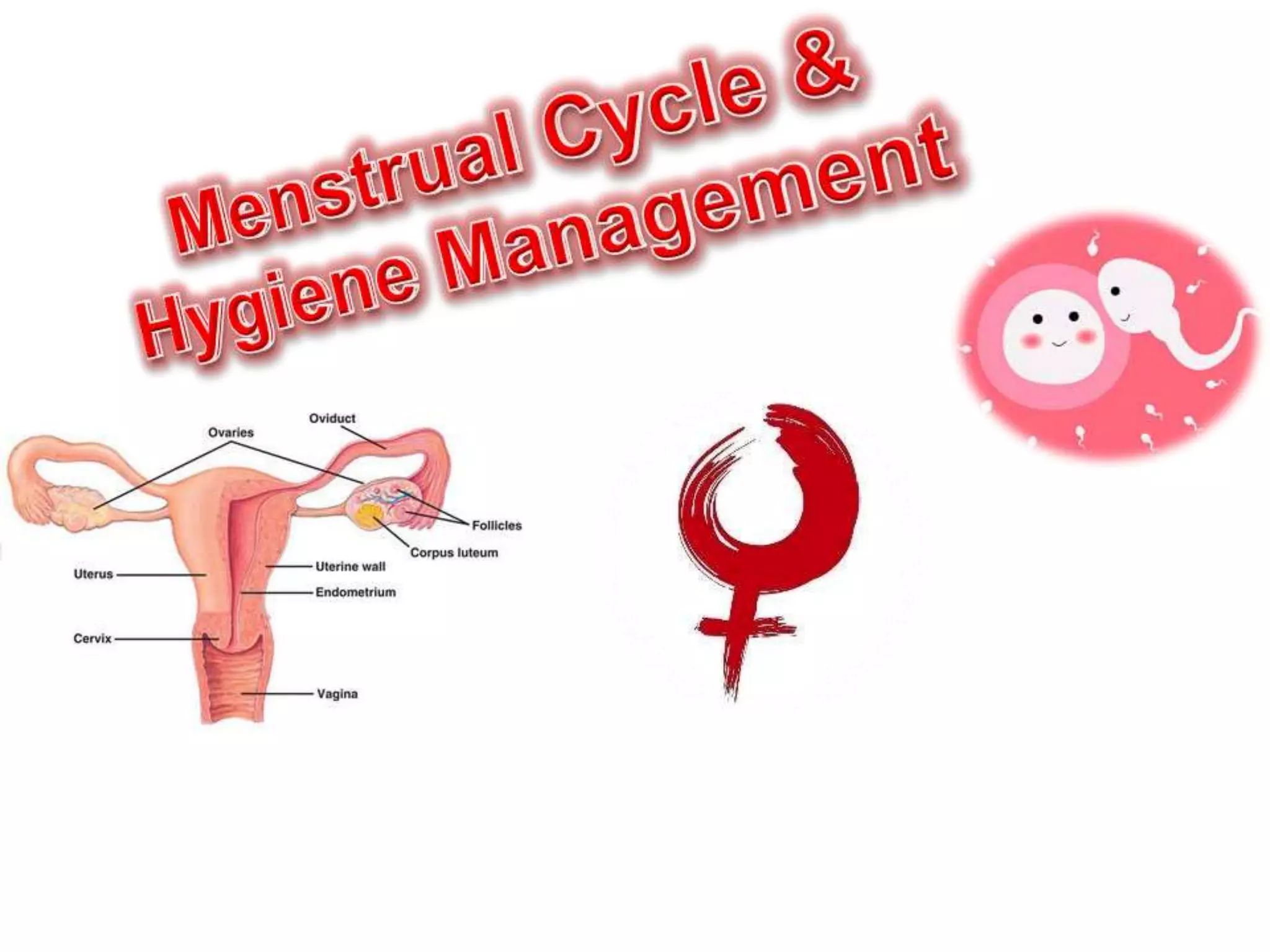 Menstrual health and hygiene management | PPTX