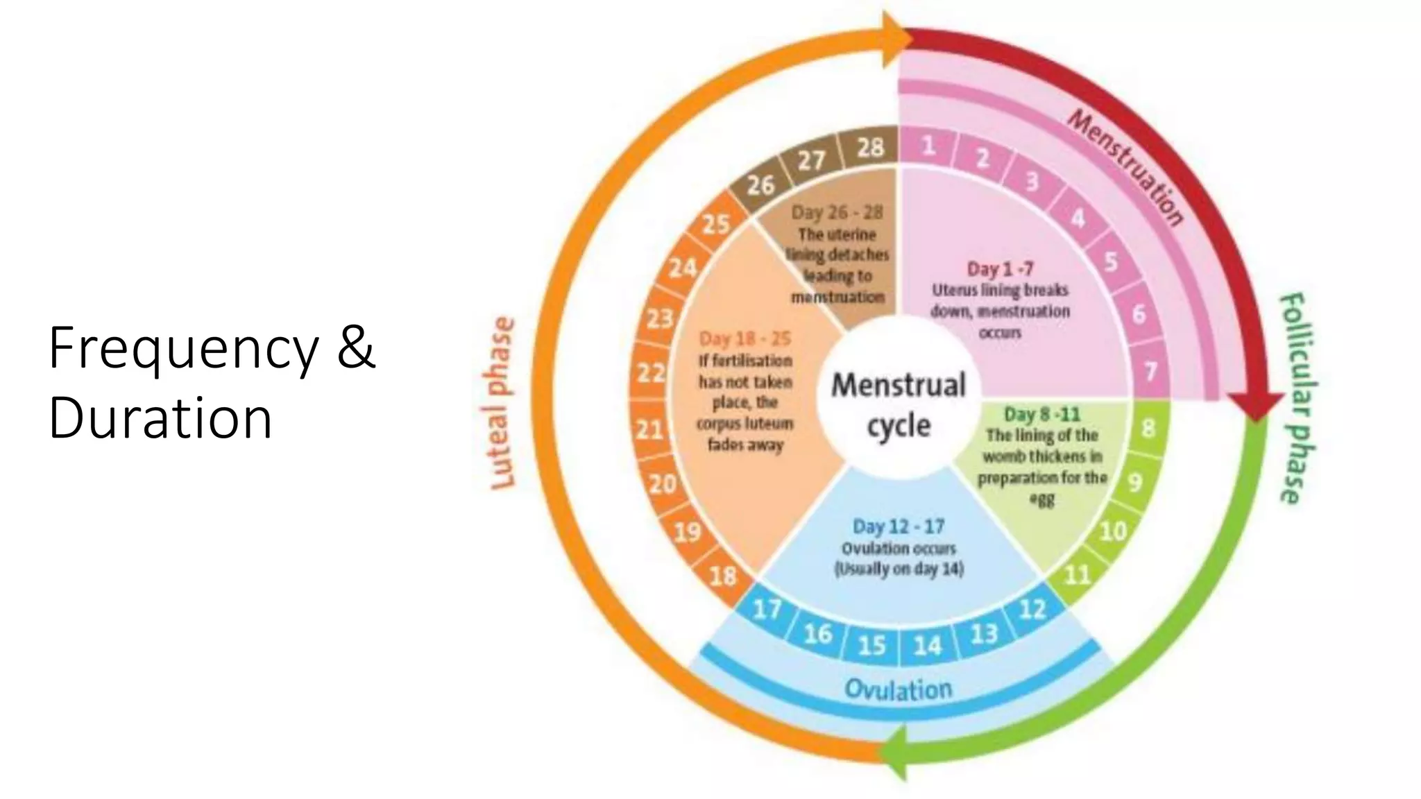 MENSTRUAL HEALTH & HYGIENE | PPTX