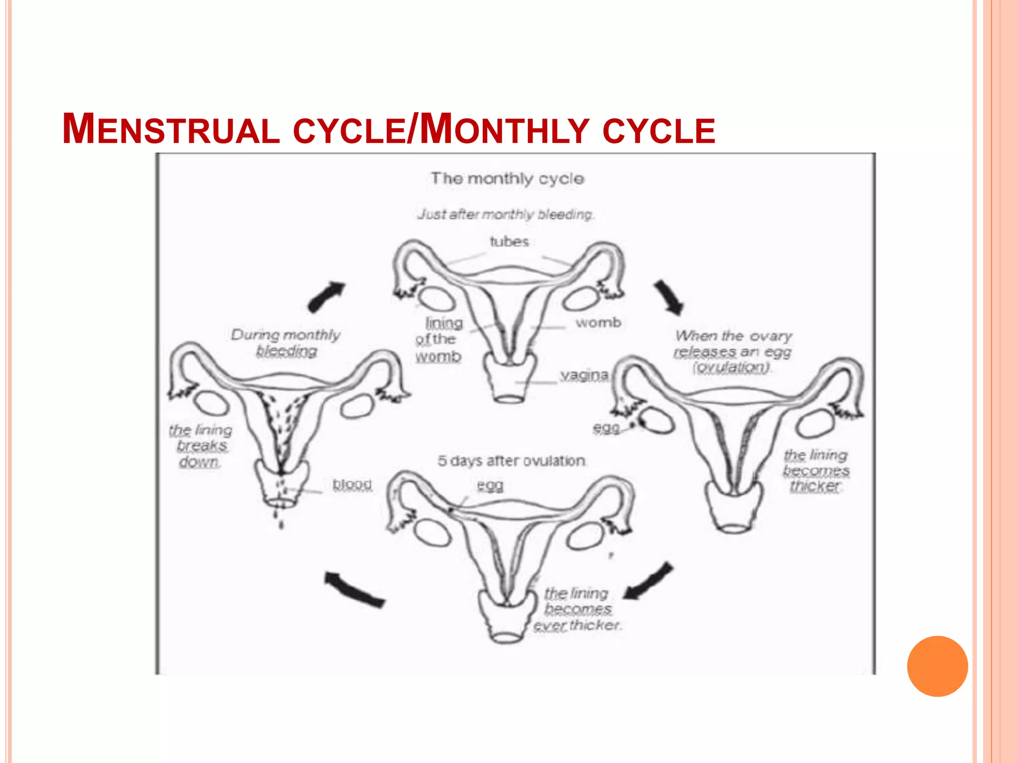 Menstrual hygiene Awareness program 24.7.23.pptx
