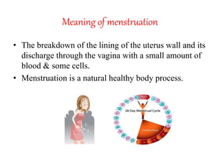 Menstrual pattern ppt | PPTX