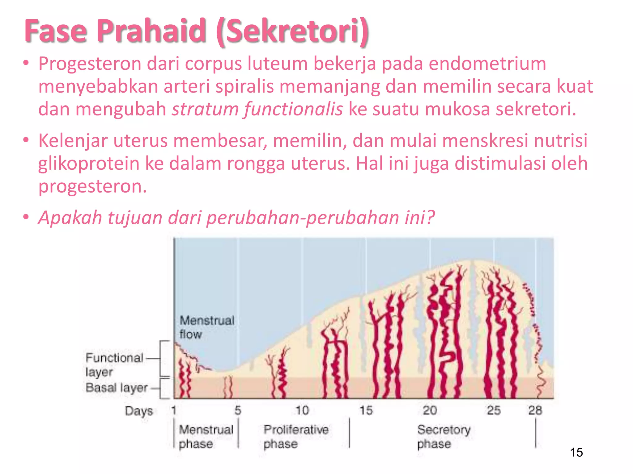 Menstruasi (Siklus Menstruasi dan Gangguannya) | PPTX