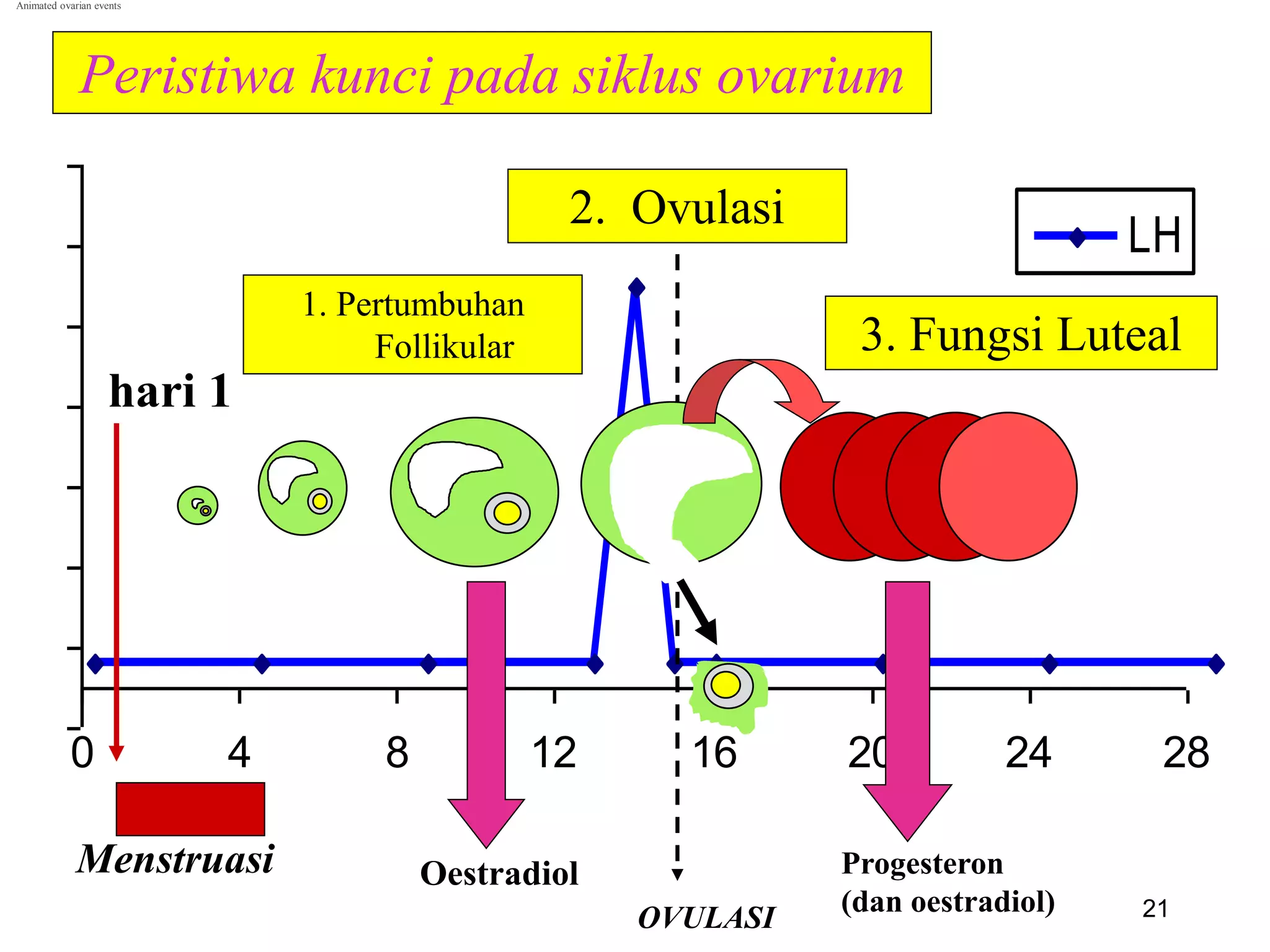 Menstruasi (Siklus Menstruasi dan Gangguannya) | PPTX