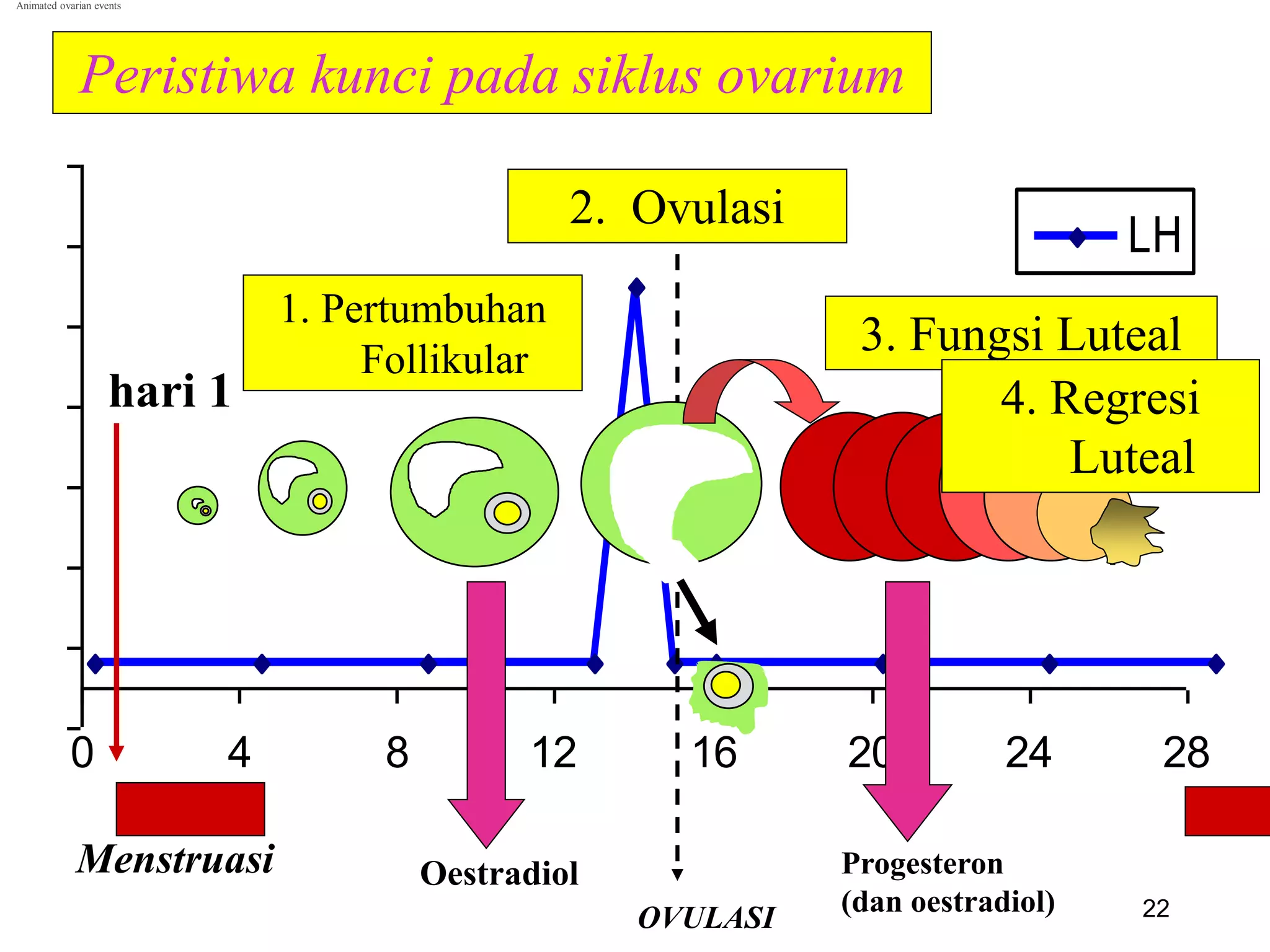 Menstruasi (Siklus Menstruasi dan Gangguannya) | PPTX