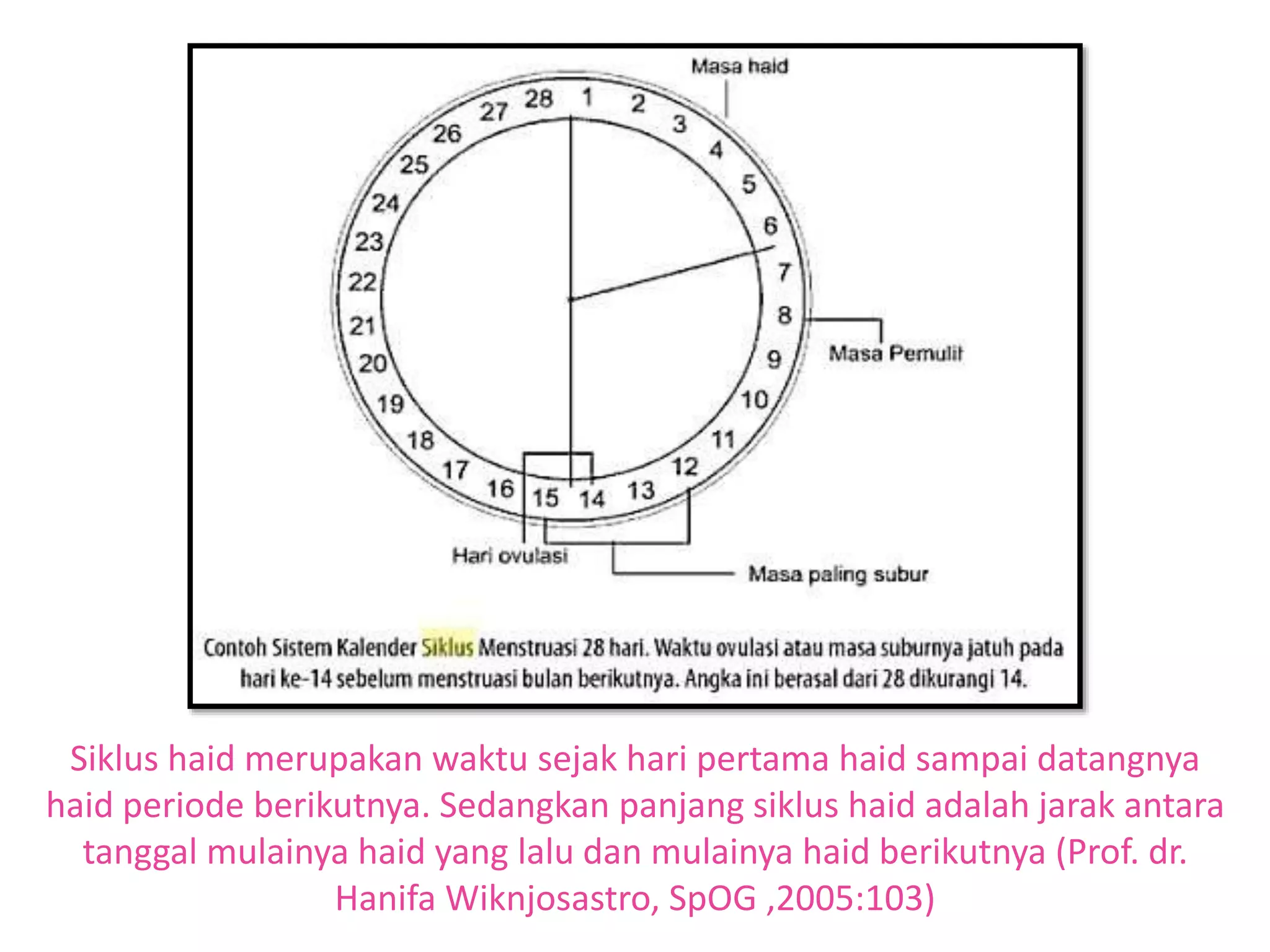Menstruasi (Siklus Menstruasi dan Gangguannya) | PPTX