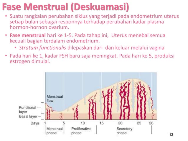 Menstruasi (Siklus Menstruasi dan Gangguannya) | PPTX