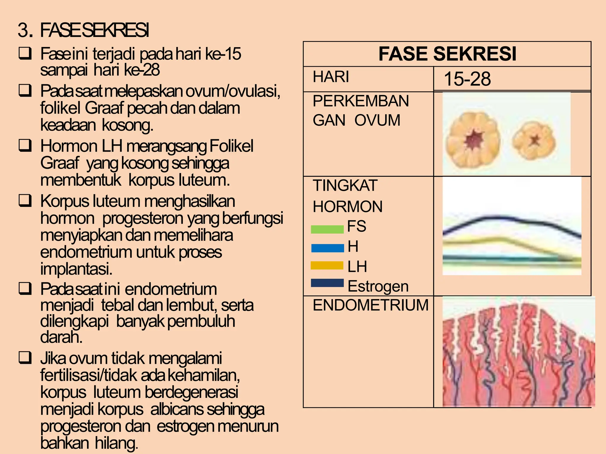 MENSTRUASI dan FERTILISASI P3.pptx kelass 9 | PPTX