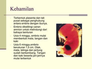 Menstruasi, Fertilisasi dan Kehamilan.ppt