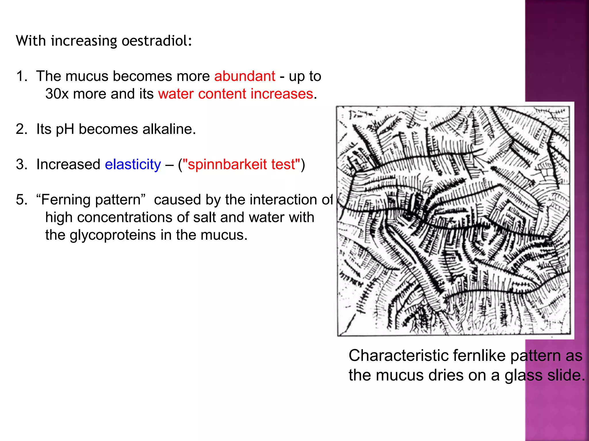 Menstruation and Ovulation | PPTX
