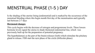 Comprehensive Overview of the Menstruation Cycle and Its Phases | PPTX