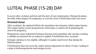 Comprehensive Overview of the Menstruation Cycle and Its Phases | PPTX