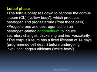 Normal Menstruation | PDF