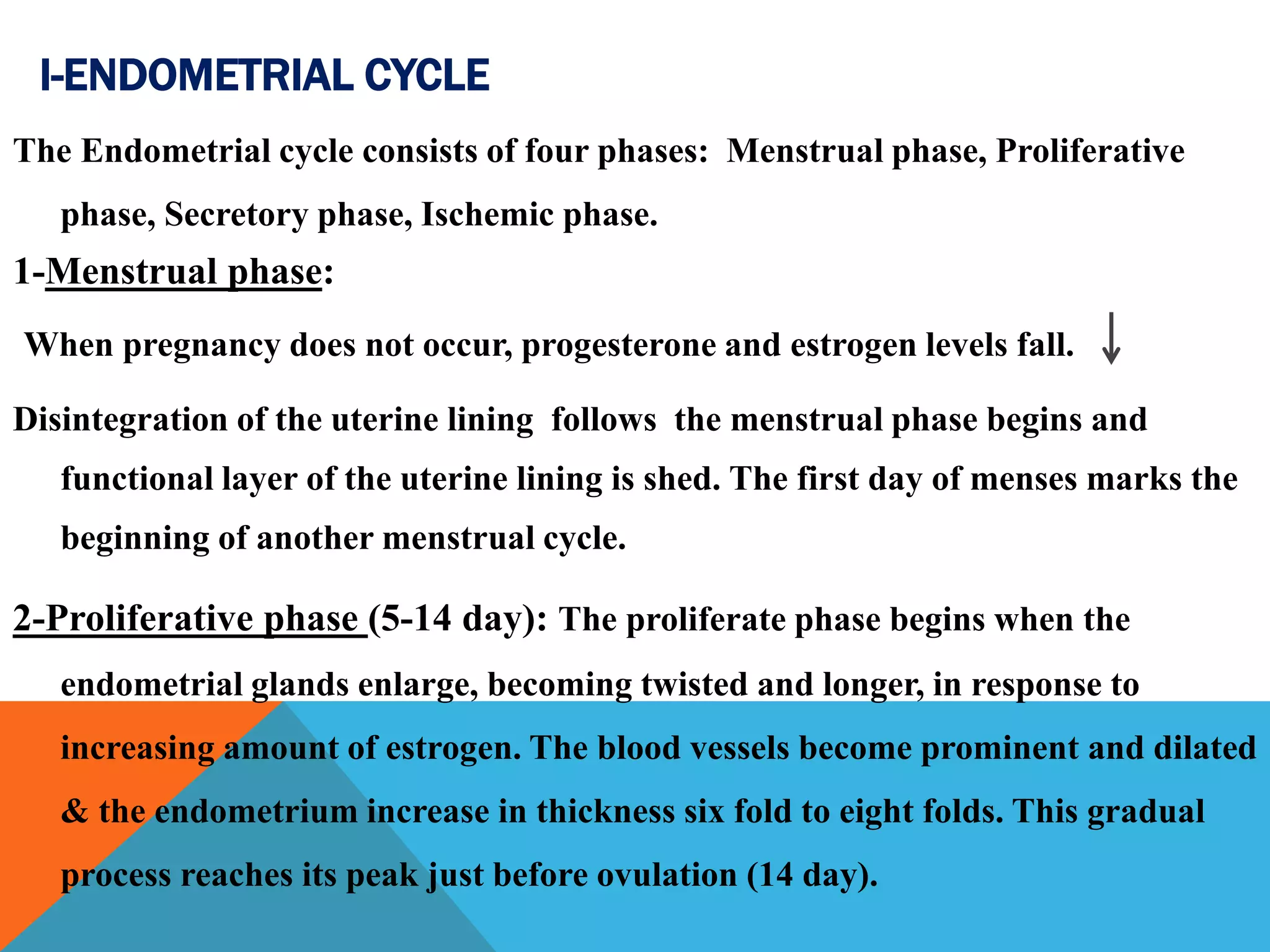 Menstruation phisiology | PPTX
