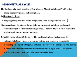 Menstruation phisiology | PPTX