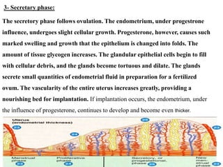 Menstruation phisiology | PPTX