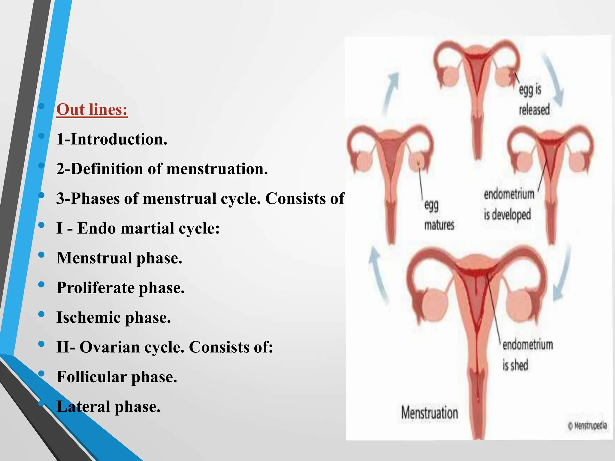 Physiology of menstruation and menstrual cycle | PPTX