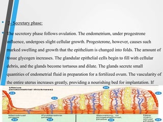 Physiology of menstruation and menstrual cycle | PPTX