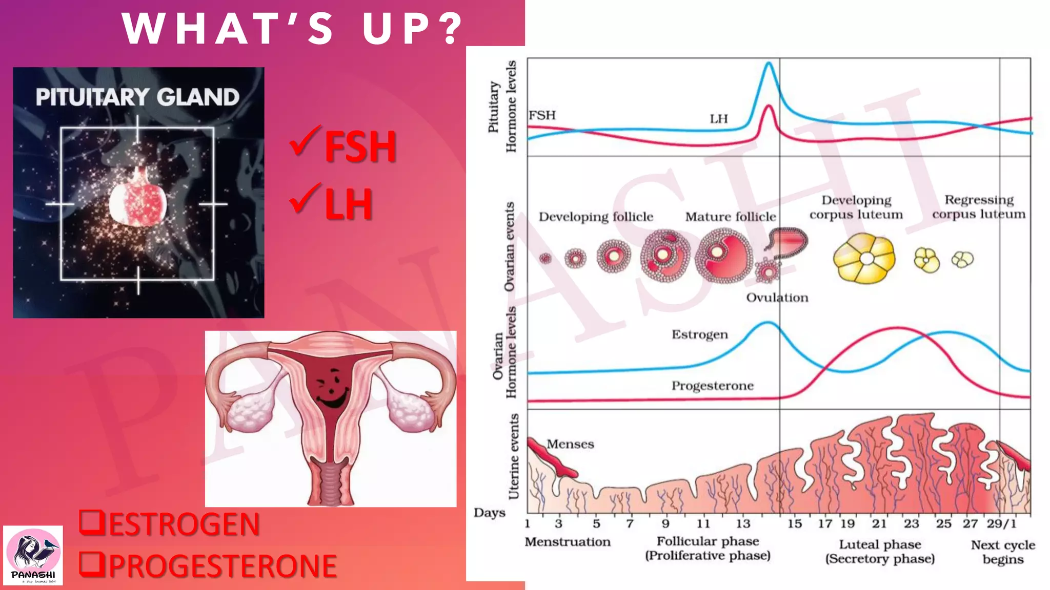 Menstruation, PMS, Mental Health.pdf