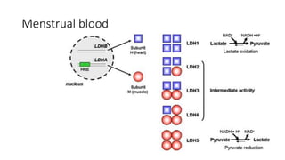Menstrural blood and circulatory blood.pptx