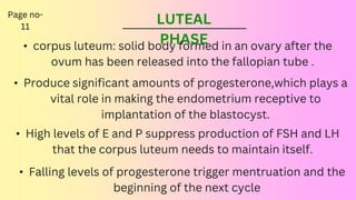 Menstural cycle-1.pptx