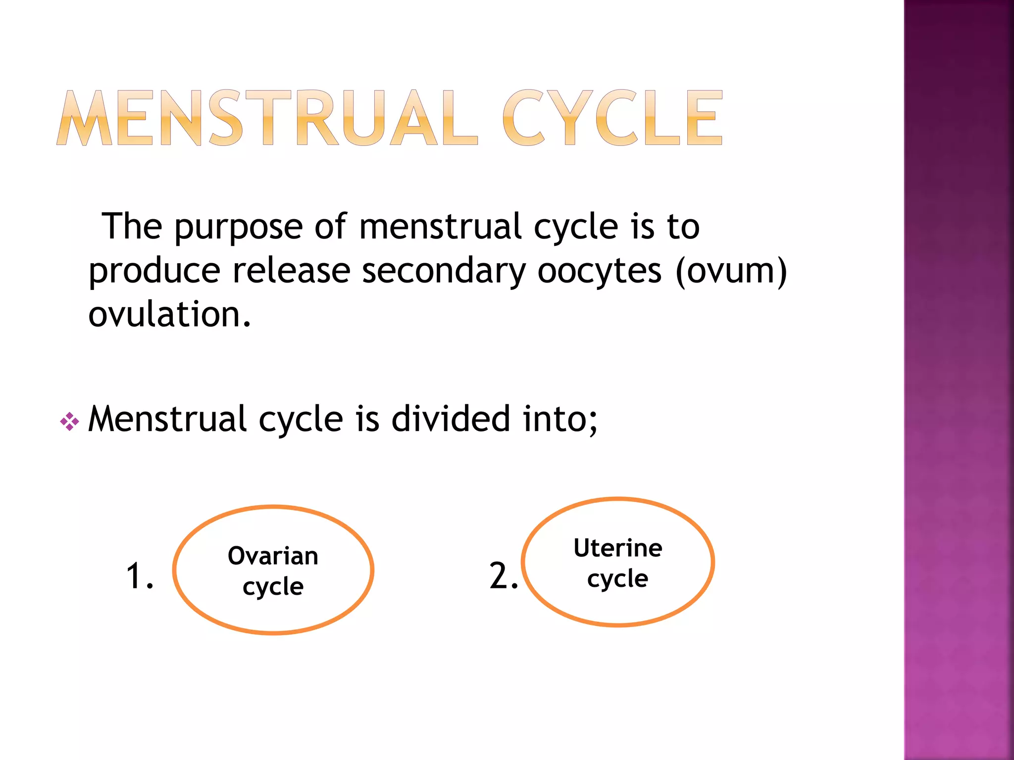 Menstural cycle | PPT