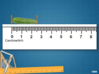 MENSURATION-CALCULATION RULERS PROTRACTORS AND TOOLS.pptx
