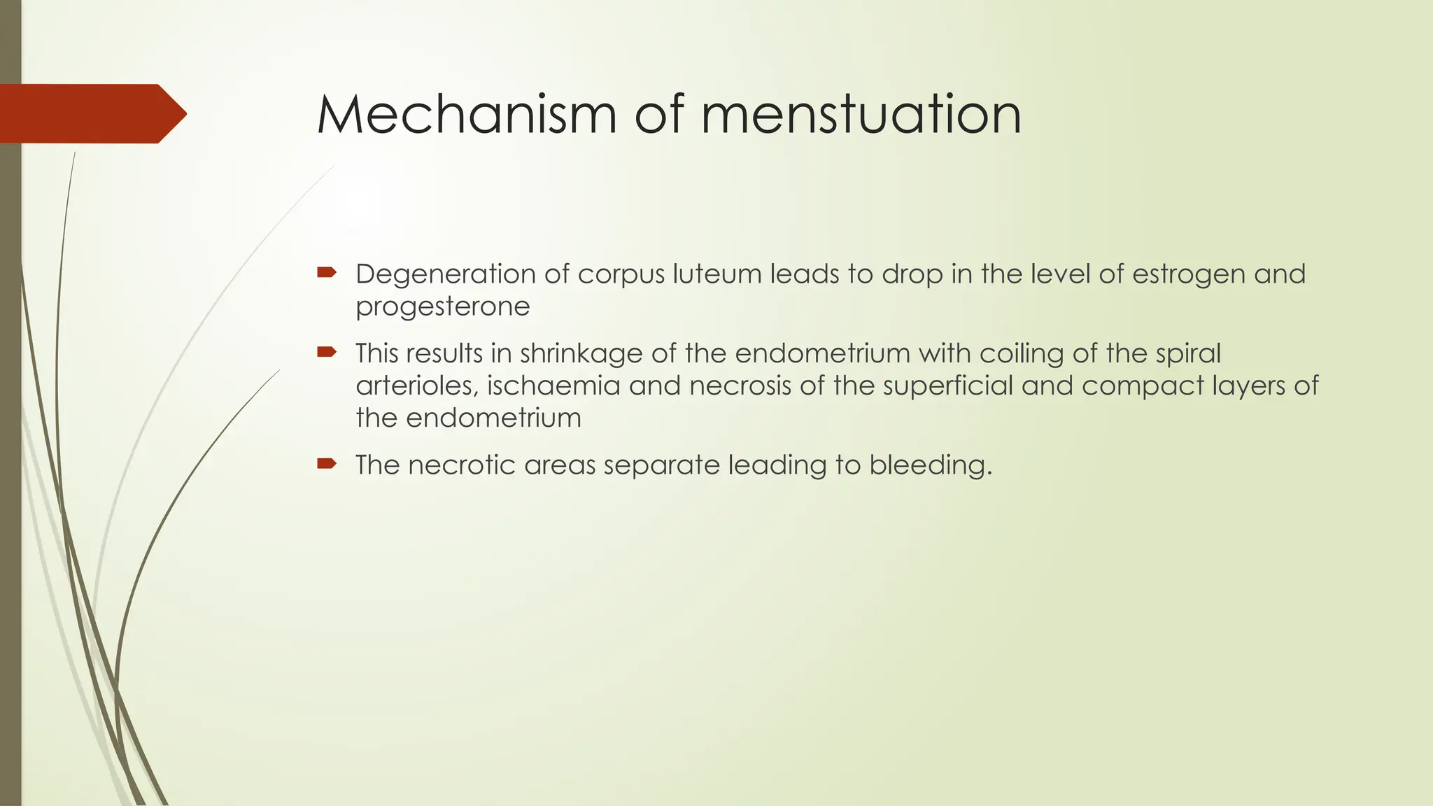Mensuration_by_Krupali_with_full_detail.pptx