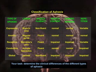 Mental-Status-Exam-and-Cranial-Nerves.ppt