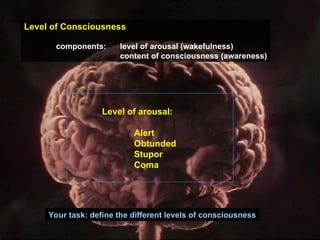 Mental-Status-Exam-and-Cranial-Nerves.ppt